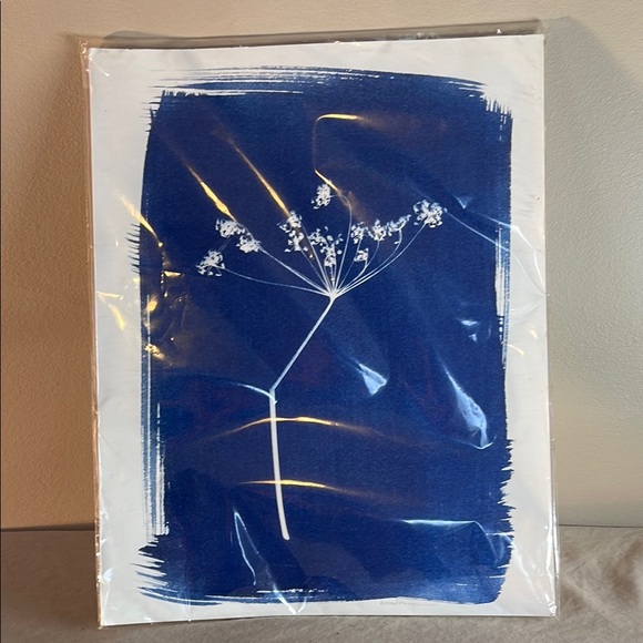 Art | Queen Annes Lace Handmade Print Of Cyanotype Fine Art Signed ...